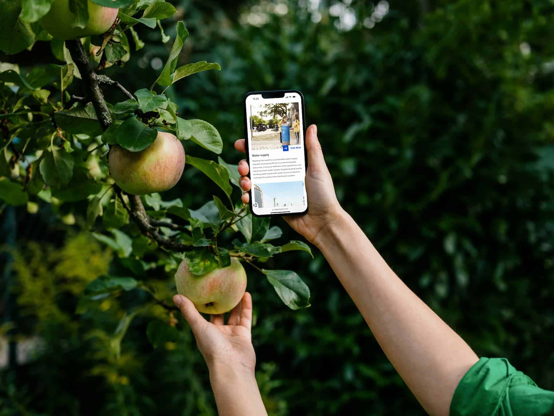 State of Green: Complete Platform Highlighting Green Danish Solutions ...